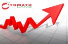 Market Reports – Tomatoland